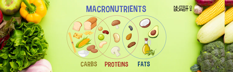 Macronutrients Demystified: Exploring Proteins, Carbohydrates, and Fat ...